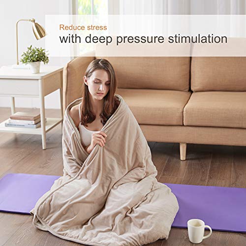 Degrees of Comfort Weighted Blanket 12 Pounds for Adult, Soft Plush to Sherpa Heavy Blankets, 48x72 Twin Size, 12lbs, Sand Beige