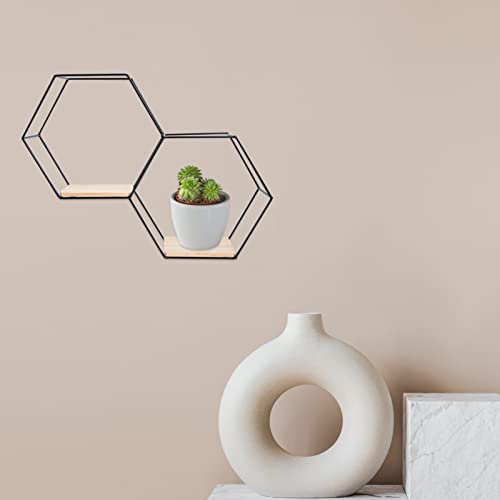 UKCOCO Home Décor Wall Mounted Hexagonal Floating Shelves, Black Metal Wire Dual Hexagon Wall Shelves for Home, Kitchen, Office Botanical Decor