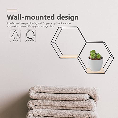 UKCOCO Home Décor Wall Mounted Hexagonal Floating Shelves, Black Metal Wire Dual Hexagon Wall Shelves for Home, Kitchen, Office Botanical Decor