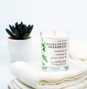 Leoben Company | B.B. Wellness | Hand Poured Soy Wax | Made in Small Batches | 40 Hours | Infused with Natural Essential Oils | Vegan | Phthalate-Free (Eucalyptus Spearmint)