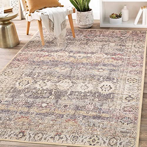 RORA Area Rug 5x7 Machine Washable Rugs for Living Room, Bedroom, Dining Room, Distressed Boho Home Decor Floor Decoration Carpet Mat