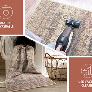 RORA Area Rug 5x7 Machine Washable Rugs for Living Room, Bedroom, Dining Room, Distressed Boho Home Decor Floor Decoration Carpet Mat