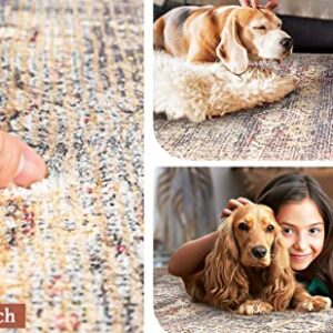 RORA Area Rug 5x7 Machine Washable Rugs for Living Room, Bedroom, Dining Room, Distressed Boho Home Decor Floor Decoration Carpet Mat