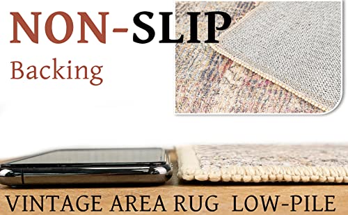 RORA Area Rug 5x7 Machine Washable Rugs for Living Room, Bedroom, Dining Room, Distressed Boho Home Decor Floor Decoration Carpet Mat