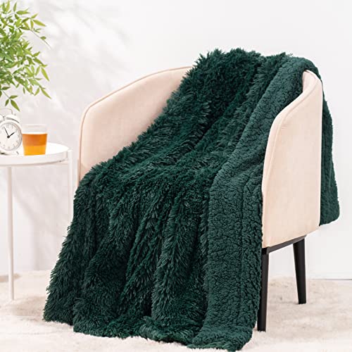 RECYCO Faux Fur Sherpa Throw Blanket Dark Green, Super Soft Fuzzy Fluffy Blankets Plush Warm Cozy Throw Reversible Comfy Thick Shaggy Sherpa Blanket for Couch Sofa Bed 50x60 Inches