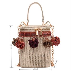 IAMUHI Womens Handwoven Straw Phone Bag Small Floral Tassel Cross-body Beach Purse Mini Bucket Tote Handbag,White