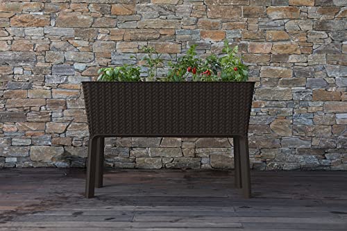 Keter Splendor 31.7 Gallon Raised Garden Bed with Self Watering Planter Box and Drainage Plug-Perfect for Growing Fresh Vegetables, Flowers and Herbs, Brown