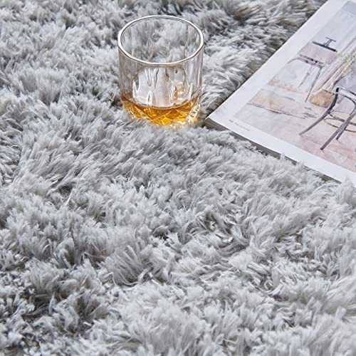 ANVARUG 3x5 Feet Small Area Rug, Upgrade Anti-Skid Durable Rectangular Cozy Rug, High Pile Shag Carpet Rugs for Indoor Home Decorative, Tie-Dyed Light Grey