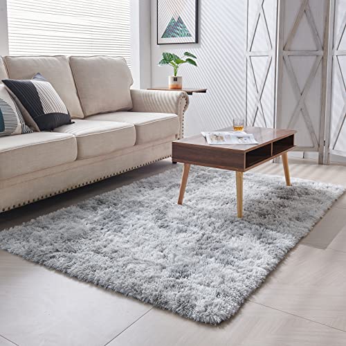 ANVARUG 3x5 Feet Small Area Rug, Upgrade Anti-Skid Durable Rectangular Cozy Rug, High Pile Shag Carpet Rugs for Indoor Home Decorative, Tie-Dyed Light Grey