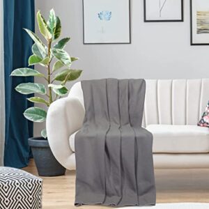 pasanfo 50x60 Inch Cozy Soft Fleece Throw Blanket (Pack of 2, Grey Color)