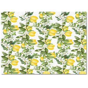 Rustic Spring Lemon with Leaves Filling Area Rug for Bed Room, 3' x 5' Indoor Accent Rugs Non-Skid Kitchen Runner, Yellow Summer Floral Bathroom Rugs Modern Floor Mats Washable Throw Carpet