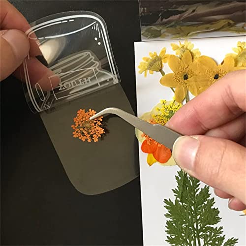 Gzwccvsn Transparent Dried Flower Bookmarks Kit - Homemade Pressed Bookmarks, DIY Bookmark Craft, Glassware Stickers, Page Clips Herbarium (Bookmarks 01/30pcs)