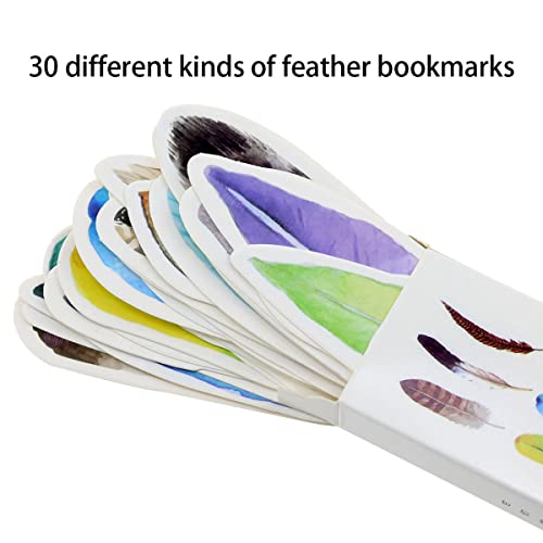 Haidong 2 Boxes/60PCS Color Feather Paper Reading Bookmark, Feather Shape Bookmark Stationery Supplies, Feather Bookmark