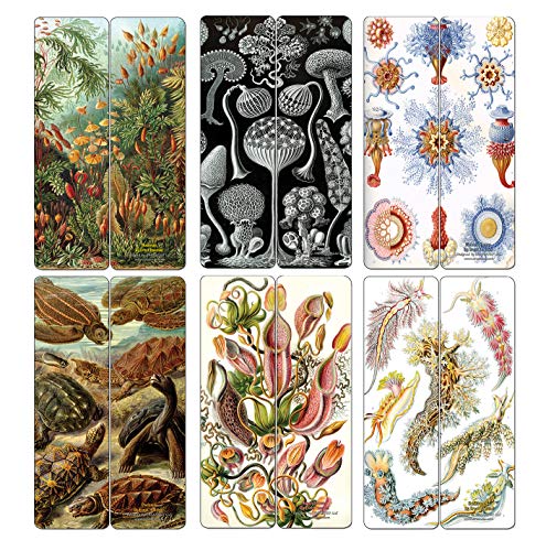 Creanoso Ernst Haeckel Bookmarks Series 2 (60-Pack) - Premium Quality Gift Ideas for Children, Teens, & Adults for All Occasions - Stocking Stuffers Party Favor & Giveaways