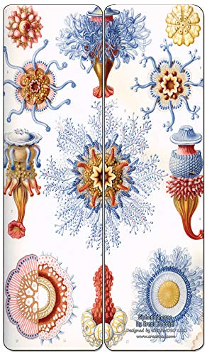 Creanoso Ernst Haeckel Bookmarks Series 2 (60-Pack) - Premium Quality Gift Ideas for Children, Teens, & Adults for All Occasions - Stocking Stuffers Party Favor & Giveaways