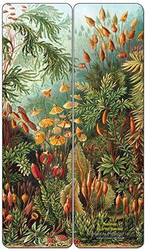 Creanoso Ernst Haeckel Bookmarks Series 2 (60-Pack) - Premium Quality Gift Ideas for Children, Teens, & Adults for All Occasions - Stocking Stuffers Party Favor & Giveaways