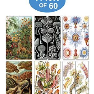 Creanoso Ernst Haeckel Bookmarks Series 2 (60-Pack) - Premium Quality Gift Ideas for Children, Teens, & Adults for All Occasions - Stocking Stuffers Party Favor & Giveaways