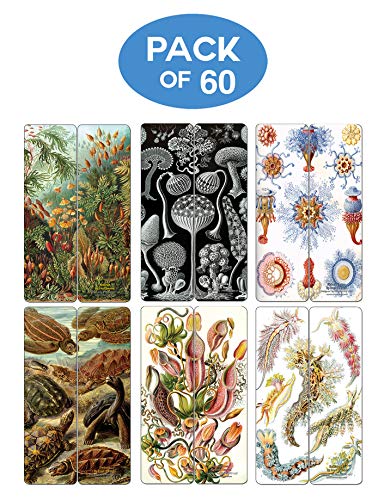 Creanoso Ernst Haeckel Bookmarks Series 2 (60-Pack) - Premium Quality Gift Ideas for Children, Teens, & Adults for All Occasions - Stocking Stuffers Party Favor & Giveaways