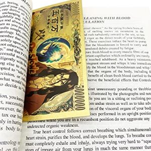 YJacuing Anime Dr. Stone Gold Coated Banknote, Limited Edition Collectible Bill Bookmark (5 PCS Collection)