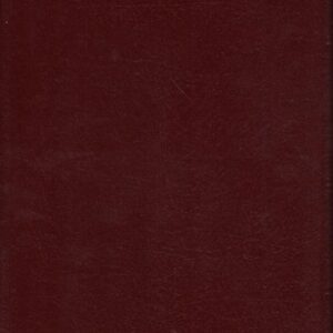 Holy Bible Personal Size Giant Print Red Letter Edition Nelson 334BG (NKJV)