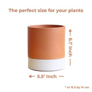 6 inch Self Watering Terracotta Pot with hydrophilic Wick and White Glazed Water Saucer for Indoor Plants, Clay Planter for Orchid, Herbs, and Flowers, Decorative Kitchen Windowsill, home decor