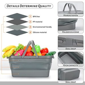 OJOJ Collapsible Picnic Basket with Handle&Lid, Multifunctional Foldable Silicone Tub, Portable Picnic Bag, Fruit&Vegetable Storage Container Sink