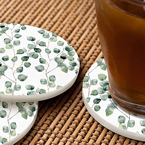 Pznen Eucalyptus Round Leaf Coasters Set for Wood Table Green Branches and Leaves Twig Natural Plant Foliage Tabletop Protection Mat for Mugs and Cups 4 Inch for Kitchen Office Home