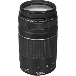 Canon EF 75-300mm f/4-5.6 III Telephoto Zoom Lens with 2X Telephoto Lens, HD Wide Angle Lens and Accessories (8 Piece Kit)