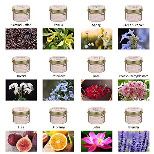 Flower Scented Candles Gift Set of 12 & 7 Pack Bulk