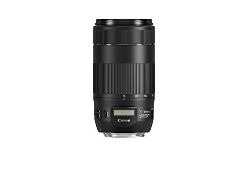 Canon Cameras US EF 70-300 is II USM 70-300mm f/4-5.6 Fixed Zoom Camera Lens, Black (0571C005)