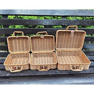 HANTURE Rattan Suitcase Storage Basket Hand Woven Seagrass Storage Baskets Makeup Organizer with Handle Rustic Wicker Storage Bins Suitcase For Picnic Shelf Organizer Box