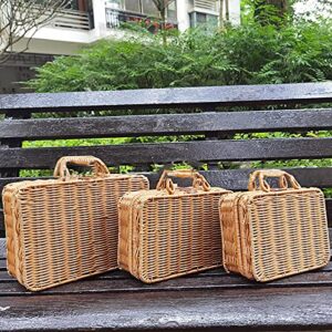 HANTURE Rattan Suitcase Storage Basket Hand Woven Seagrass Storage Baskets Makeup Organizer with Handle Rustic Wicker Storage Bins Suitcase For Picnic Shelf Organizer Box