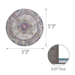 Leick Home 595272 Song Floral Indoor Outdoor Area Rug Round 5'3"