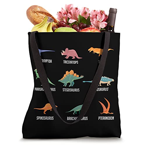 Types of Dinosaurs Boys Girls Cool Spinosaurus Trex Tote Bag