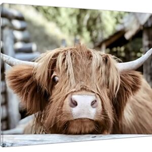 LB Highland Cow Canvas Wall Art Funny Farm Brown Bull Canvas Prints Rustic Animal Cattle Artwork Country Modern Painting Picture Poster for Bathroom Bedroom Living Room Wall Decor,16x12 Inch