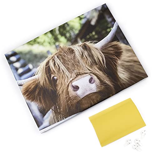 LB Highland Cow Canvas Wall Art Funny Farm Brown Bull Canvas Prints Rustic Animal Cattle Artwork Country Modern Painting Picture Poster for Bathroom Bedroom Living Room Wall Decor,16x12 Inch