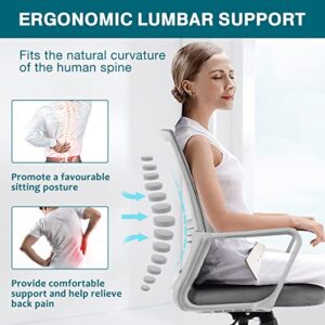 Adjustable Home Office Chair Mid Back Breathable Mesh, Height Adjustable, Comfortable Armrests, Padded Seat, Ergonomic Lumbar Support, Swivel Rolling, Tilting Function