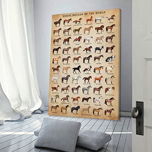 Horse Knowledge Horse Breeds of The World Poster Framed 12x16inch