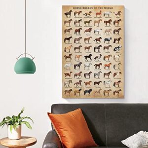 Horse Knowledge Horse Breeds of The World Poster Framed 12x16inch