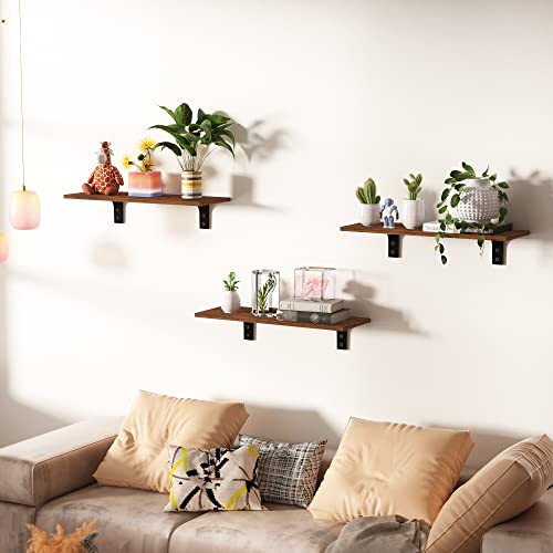 upsimples Floating Shelves for Wall Décor Storage, Wall Mounted Shelves Set of 5, Sturdy Wood Floating Shelves with Metal Brackets for Bedroom, Living Room, Bathroom, Over Toilet, Kitchen, Dark Brown