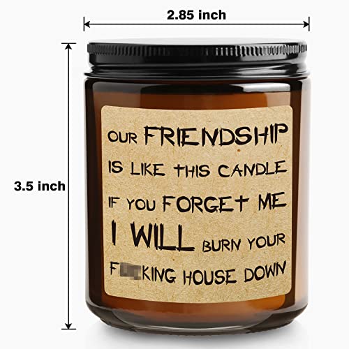 Gifts for Friends, Friendship Gifts for Graduates, Best Gifts for Her/Him, Funny Scented Candles for Men Women, Birthday Christmas Thanksgiving Presents