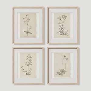 vintage botanical plant wall art prints – neutral minimalist flower posters picture for bedroom, bathroom, kitchen, home office,preppy rustic farmhouse room decor aesthetic boho sketch unframed 8×10