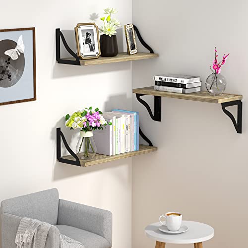 newaredy Floating Shelves, Shelves for Wall Decor, Bathroom Wall Shelves, Bookshelf Floating Shelves Wall Mounted, 16.5 Inch Wall Shelves for Living Room, Kitchen, Bedroom and Laundry Room Storage