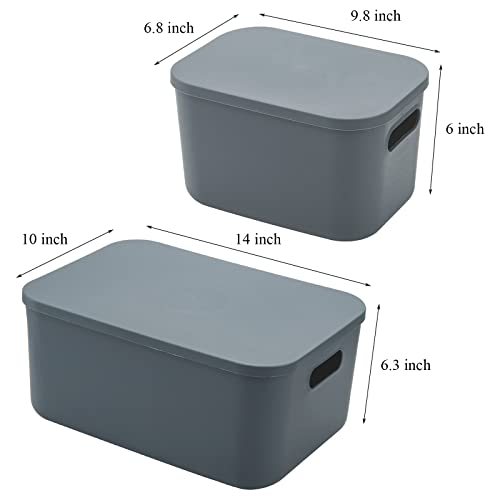 Hacaroa 3 Pack Plastic Storage Bins with Lids, Tote Organizing Container Stackable Storage Box with Handle Cabinet Organizer for Pantry, Bedroom, Cosmetics and Snacks, 2 Size, Dusty Blue