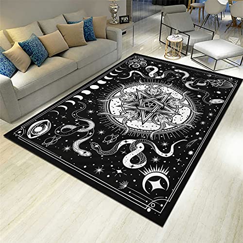 LGGQQW Witch Rug Black and White Area Rug Snake Carpet Moon Star Rug Black Gothic Carpet for Room, 24inch x 36inch