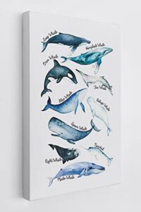 sea life whale educational ocean animal chart wall art canvas farmhouse whale theme 11×14 inch prints decor for home bedroom living room classroom library dorm,gift for kids students classmates