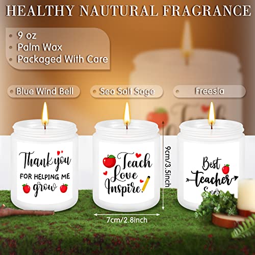 3 Pcs Teacher Appreciation Gifts Graduation Best Teacher Ever Thank You for Helping Me Grow Teacher Love Inspire Teacher Gift Scented Jar Candles for Women Men from Student, 9 Oz, 3 Scents