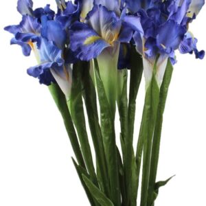 Xidmold 4 Bundle Real Touch Long Stems Iris Flower Silk Artificial Ireland Irish Iris Fake Flower for Wedding Decor Home Flower Arrangements Decoration (Blue)