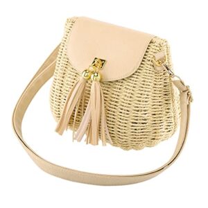 Ayliss Women Straw Crossbody Handbag Clutch Straw Shoulder Handbag Purse Rattan Summer Beach Woven Handmade Wallet Bag (Beige #2)