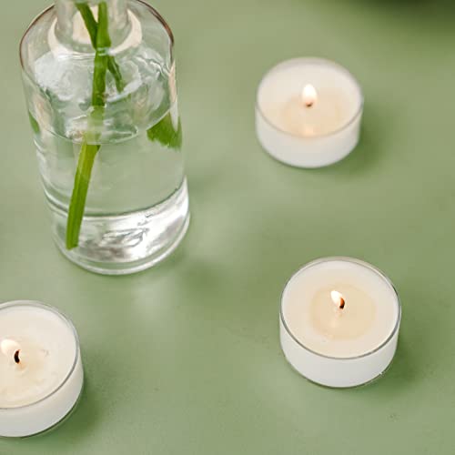 Murphy's Naturals Mosquito Repellent Tea Light Candles | DEET Free | Made with Essential Oils and a Soy/Beeswax Blend | 4 Hour Burn Time Per Candle | 36 Candles Per Box